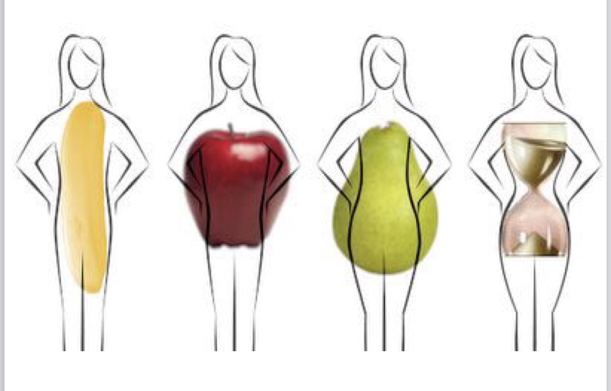 WOMEN BODY TYPES – HYAM ABDO
