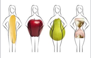 WOMEN BODY TYPES – HYAM ABDO